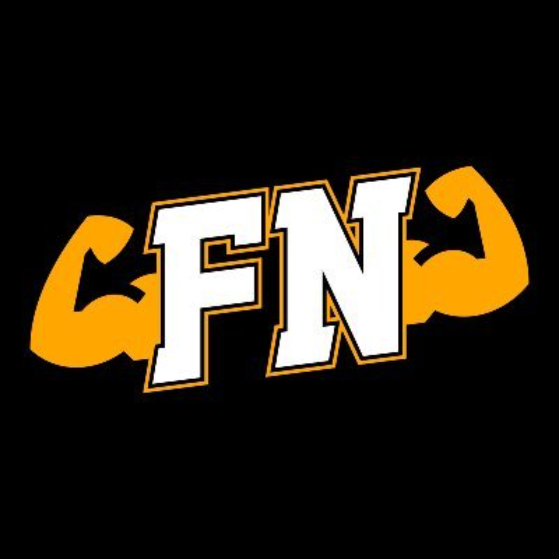 Fake Natty: Valorant Team Profile | RIB.GG